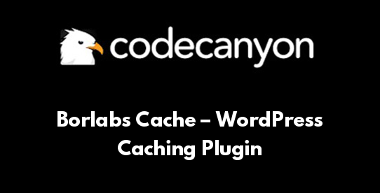 Borlabs Cache – WordPress Caching Plugin 1.6.3 – WPAdictos