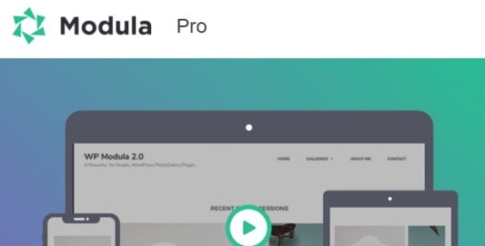 Modula Pro 2.8.22 – WPAdictos